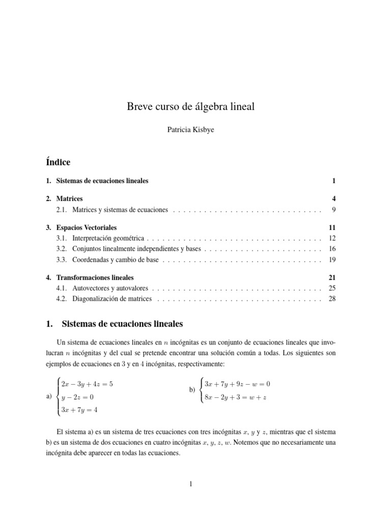 Álgebra Lineal para Ciencia de Datos | PDF | Matriz (Matemáticas ...