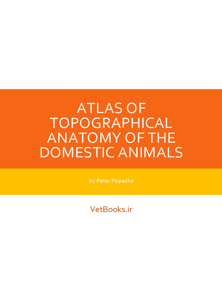 Popesko's Atlas of Domestic Animal Anatomy | PDF