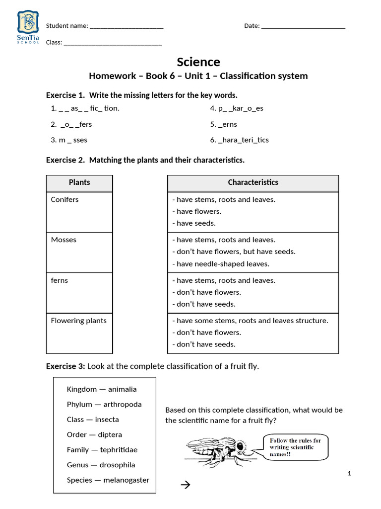 HW - Classification System | PDF