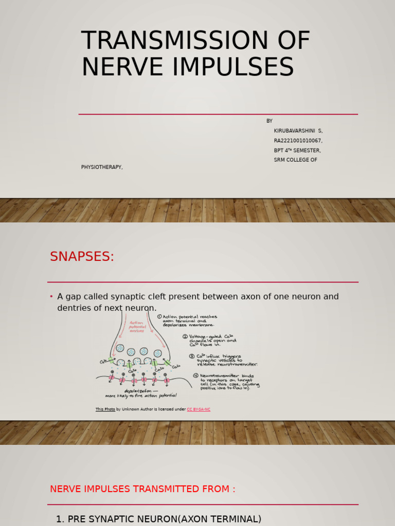 Transmission of Nerve Impulses | PDF