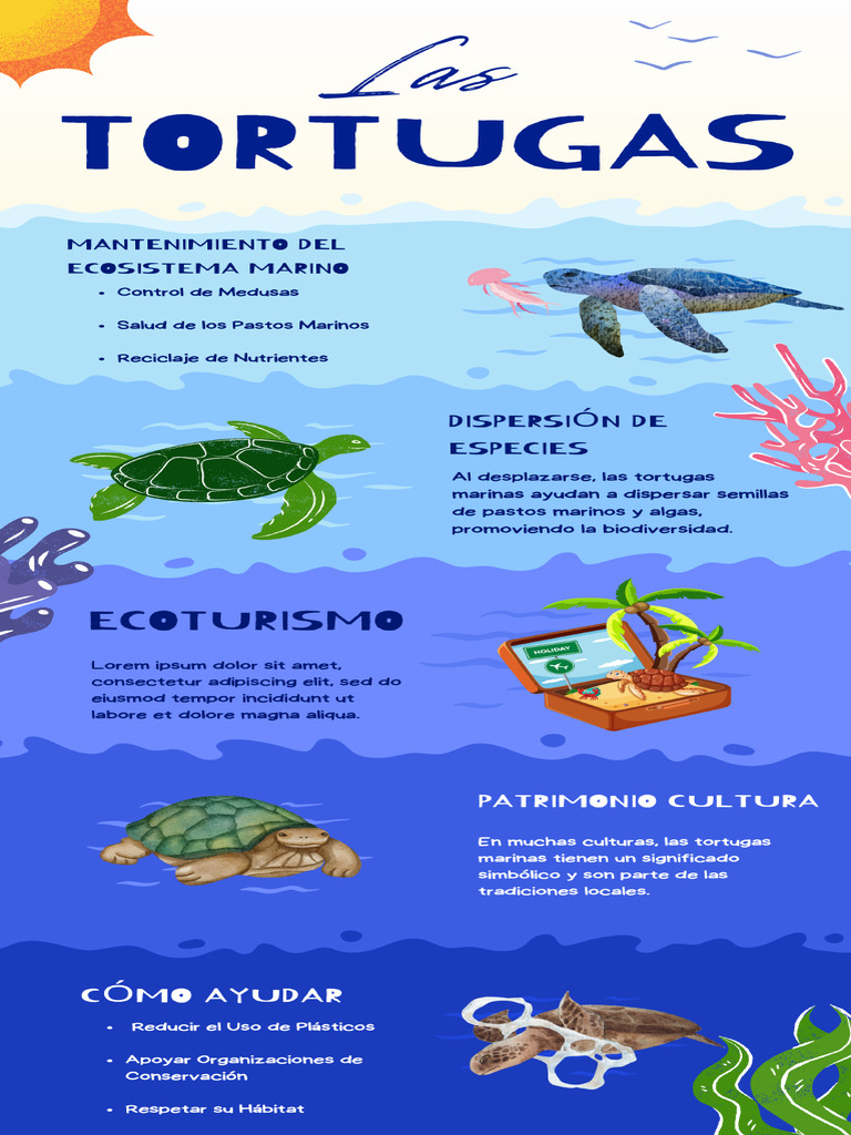 Infografía Importancia de las tortugas | PDF