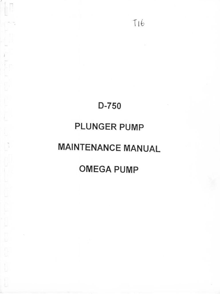 Omega Pump - D-750 - Plunger Pump - Manual | PDF