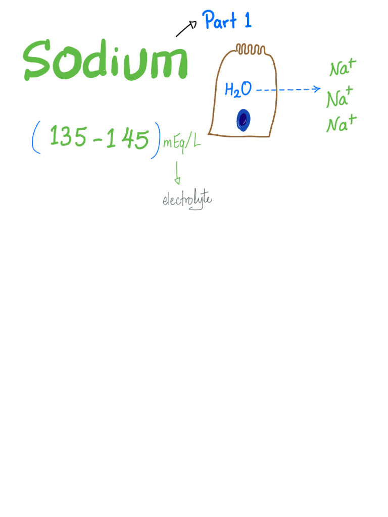 Sodium | PDF
