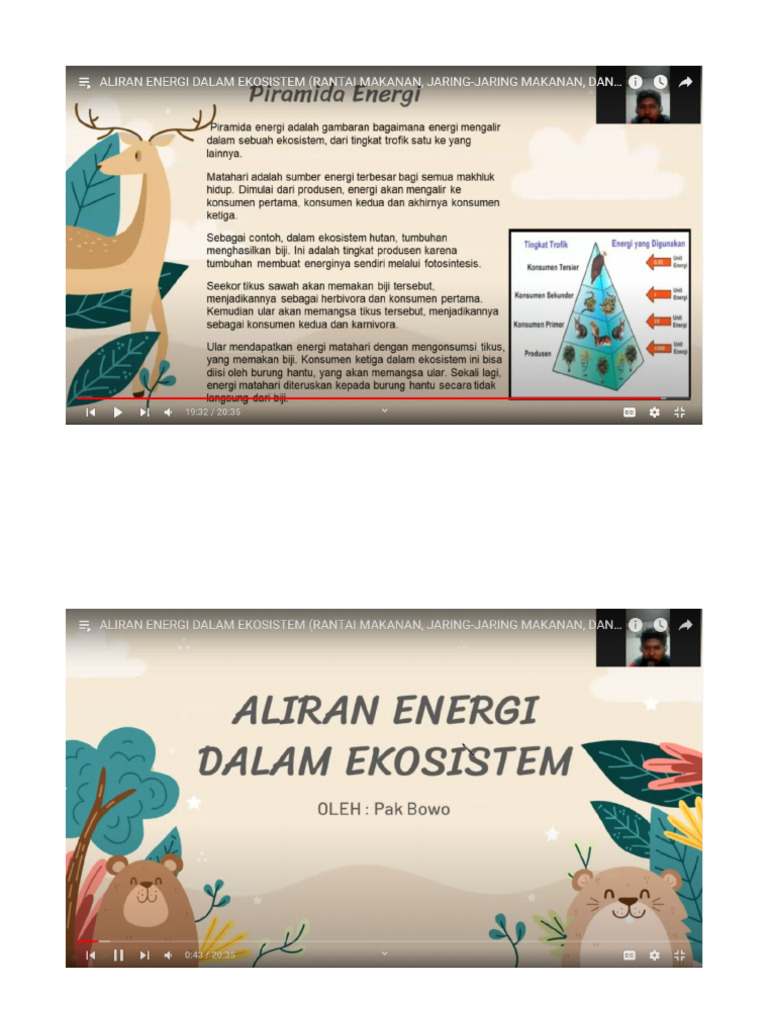 Aliran Energi Dalam Ekosistem Pdf