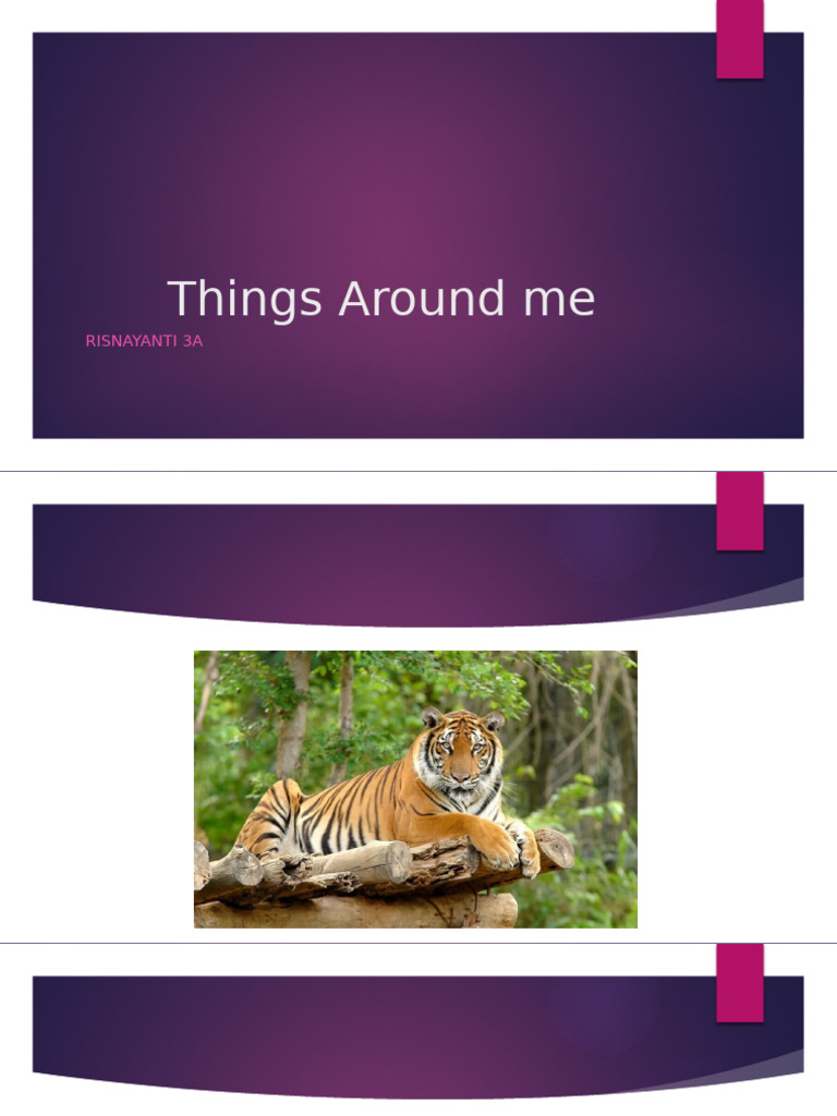 Things Around Me | PDF