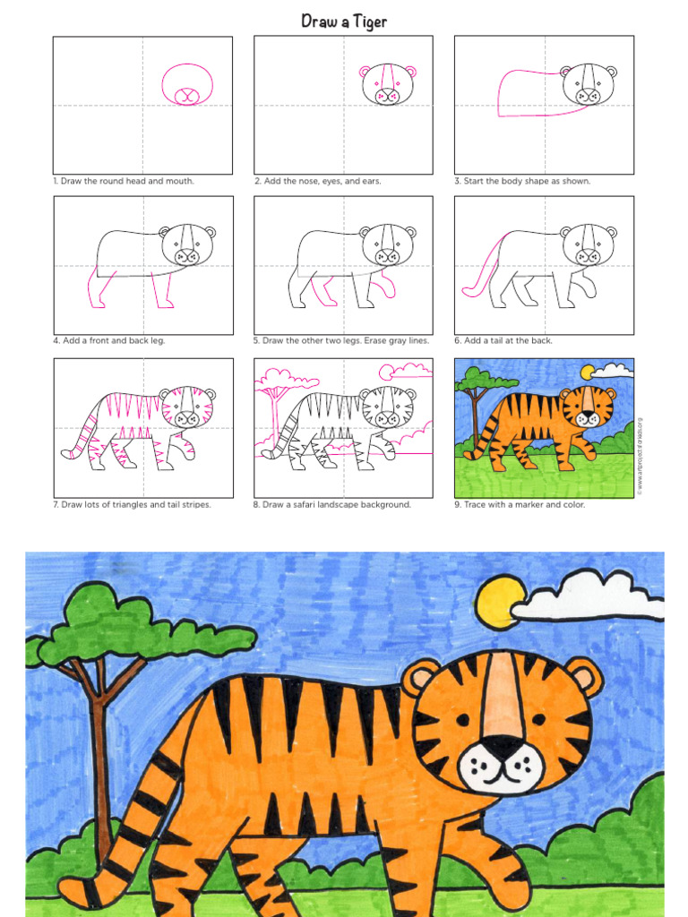 Draw A Tiger | PDF