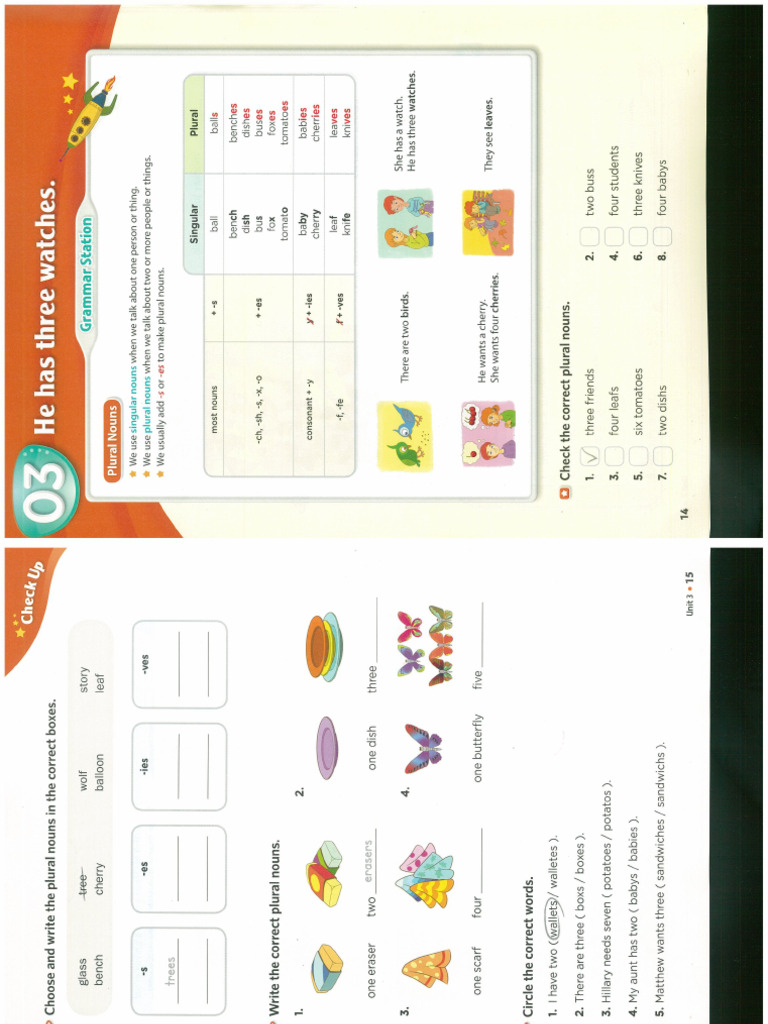 Rule 20-21 Plural Nouns - Grammar Space Beginner 1 | PDF