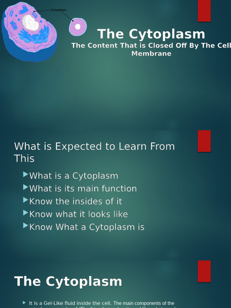 Cytoplasm | PDF