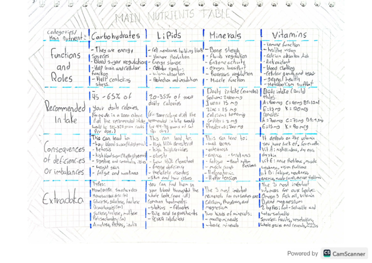 Main Nutrients Table | PDF