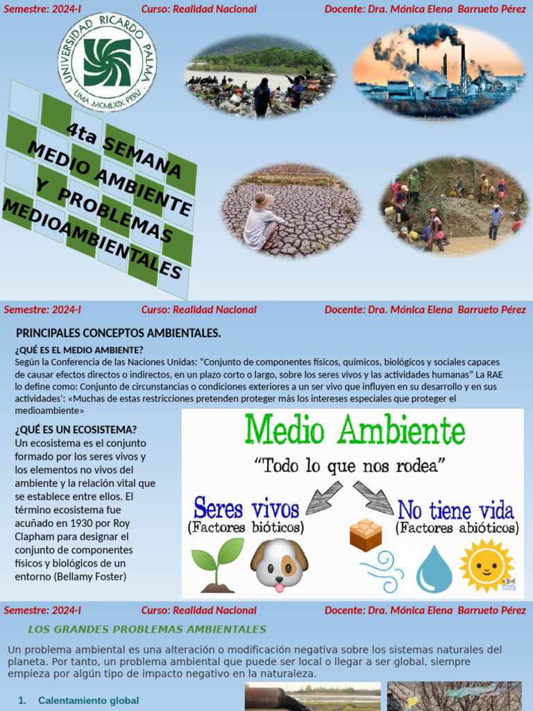 Medio Ambiente y Problemas Medioambientales | PDF