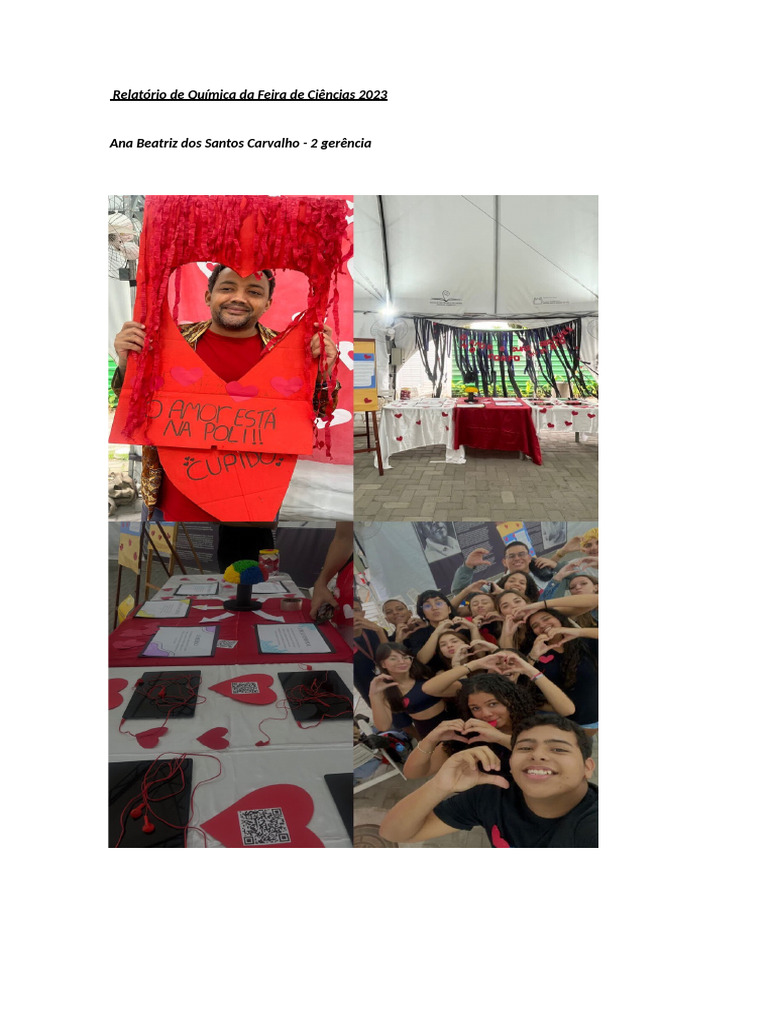 Cópia de Cópia de Relatório Feira de Cien | PDF