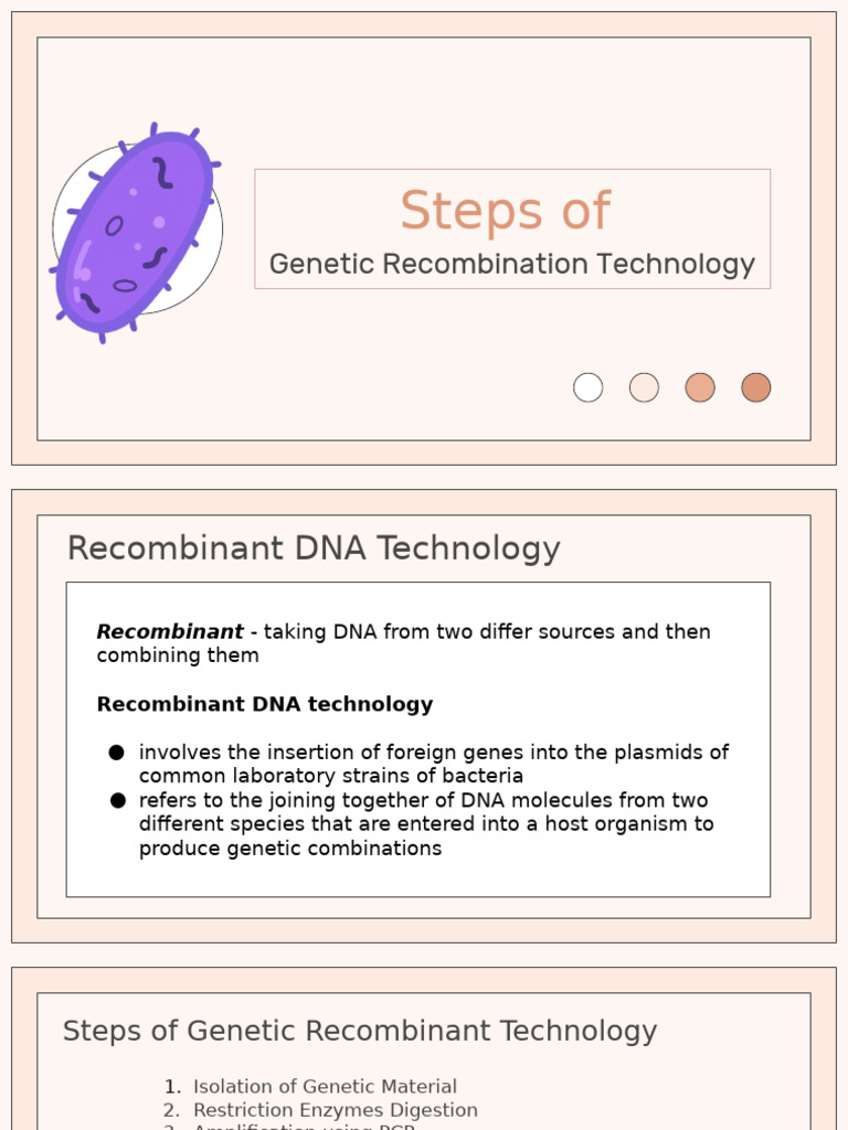 Steps of Genetic Recombination Technology | PDF | Polymerase Chain ...