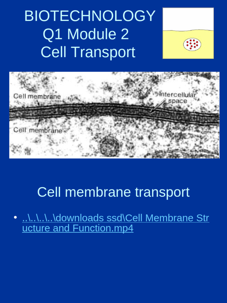 Q1 Biotech PPT Module 2 Cell Transport 2022 Lecture | PDF