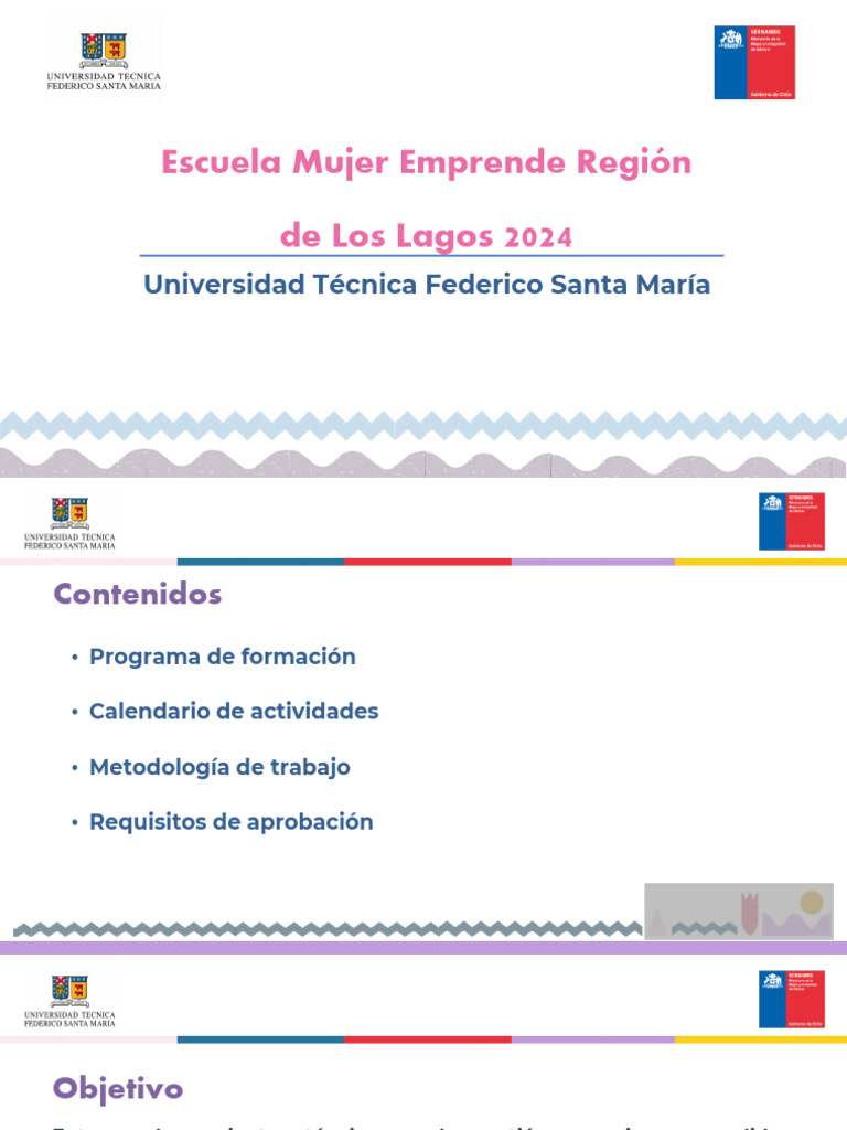 Presentación Programa EME LOS LAGOS | PDF