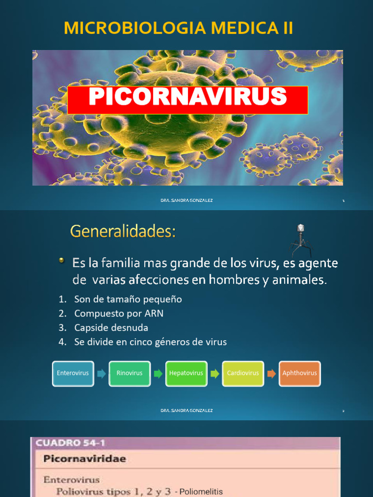 Microbiologia II - PICORNAVIRUS | PDF