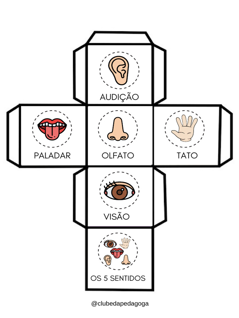 Dado (5 Sentidos) | PDF