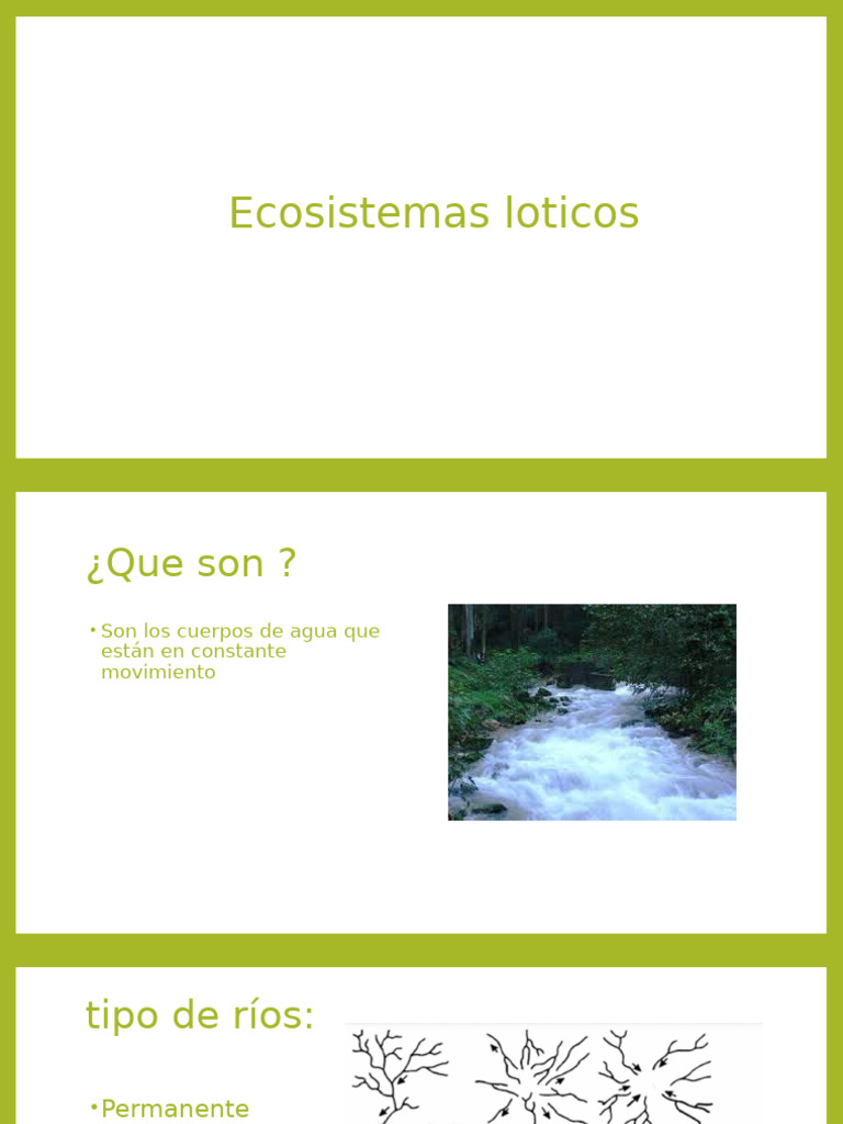 Ecosistemas Loticos | PDF