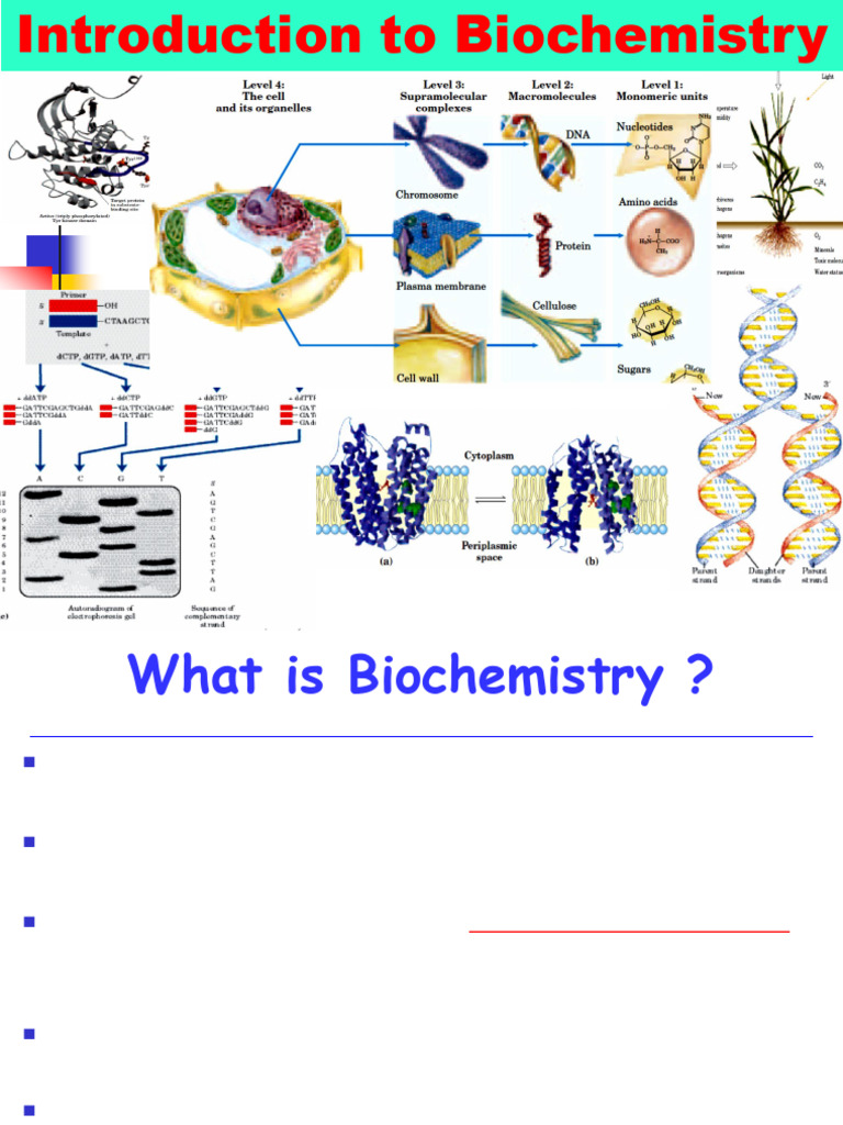 Module 1 INTRODUCTION To General Biochemistry | PDF