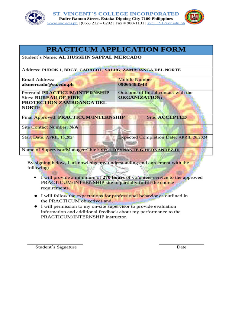 PRACTICUM APPLICATION FORM MERCADOOOO | PDF