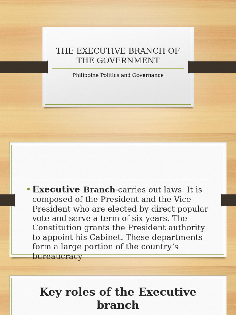 The Executive Branch of the Government | PDF