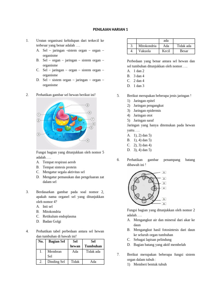 Uh 1 SMT 2 Ipa 7 | PDF