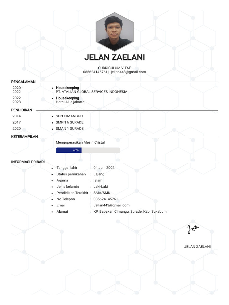 Daftar Riwayat Hidup - CV - Jelanzaelani | PDF
