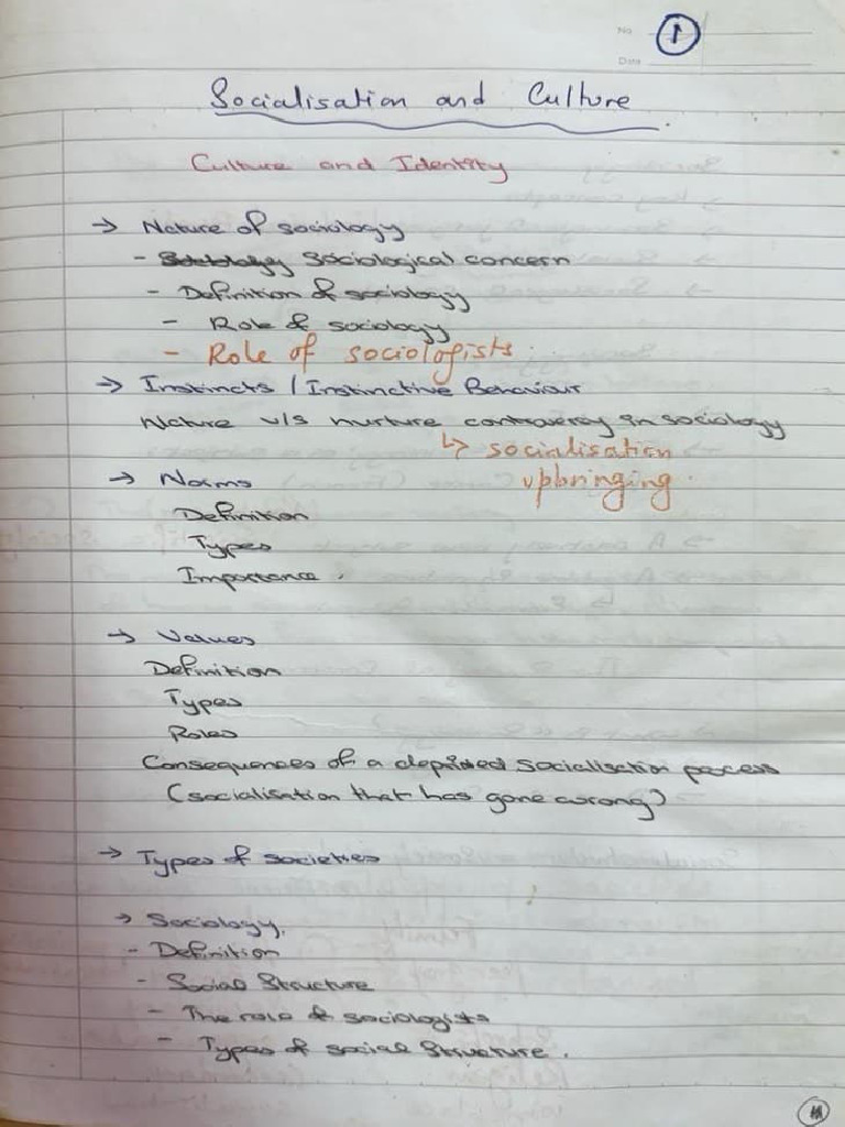 Sociology Notes - Socialisation and Culture | PDF