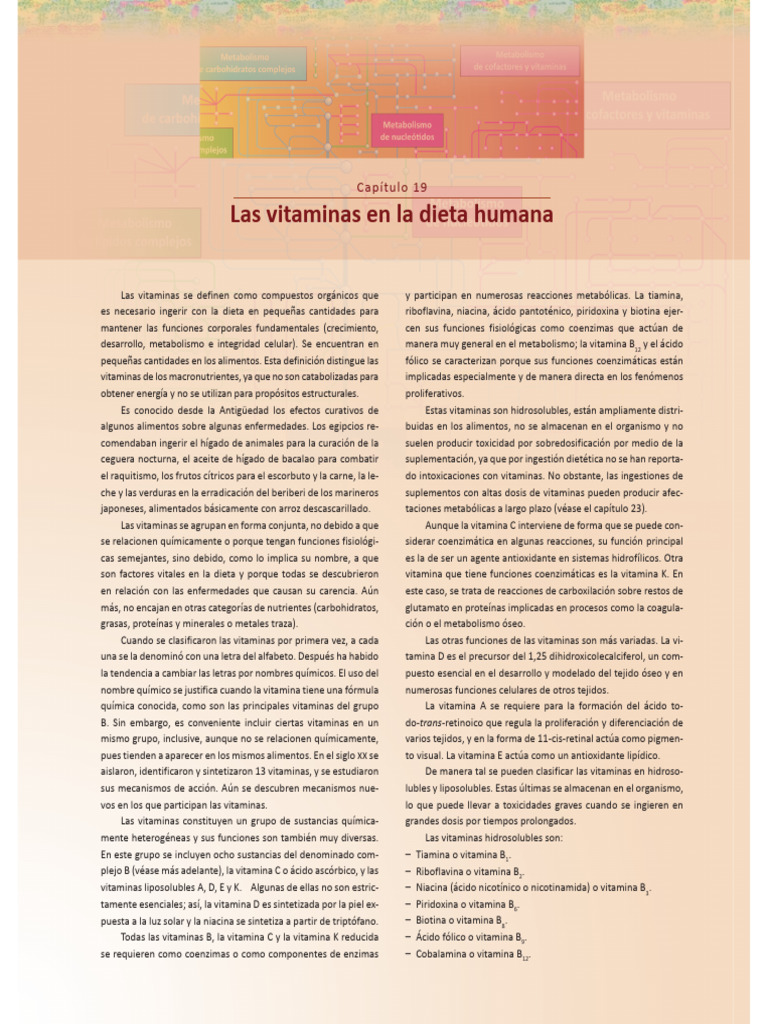 LAs Vitaminas de La Dieta Humana | PDF