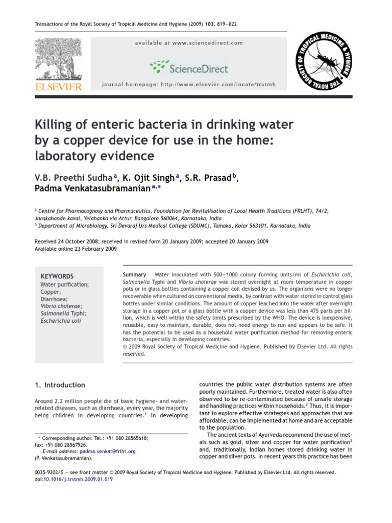 Copper Pitcher Study C | PDF