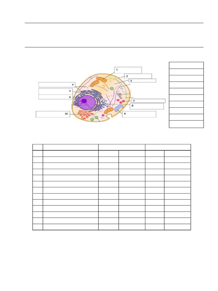 LKPD_STRUKTUR SEL | PDF