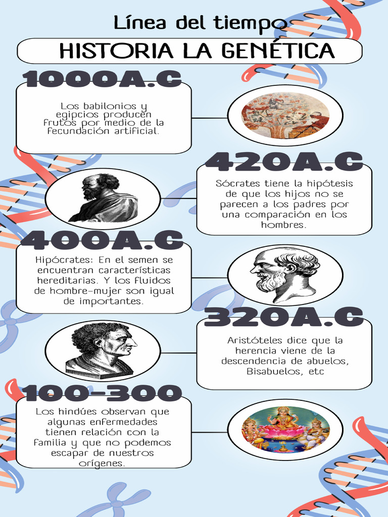 Infografía Linea Del Tiempo Historia de La Genética | PDF