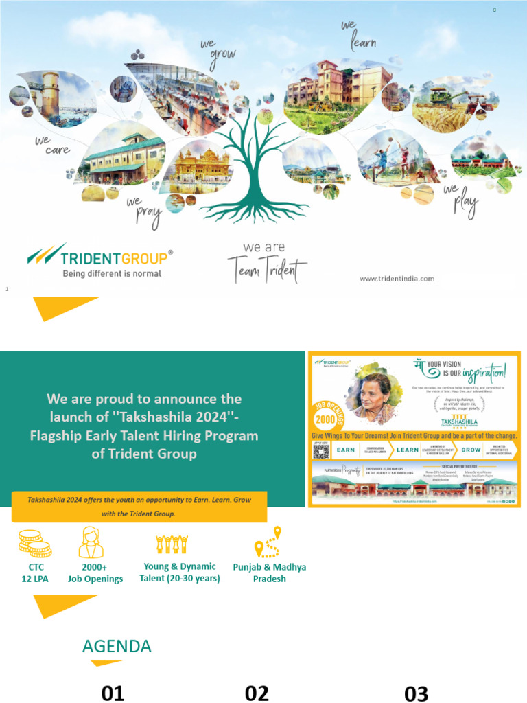 Trident Group India - Skill Development Proposal For Punjab | PDF