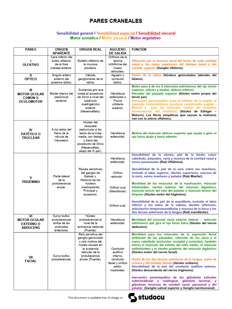 Pares Craneales Origen Real Aparente Trayecto Y Funciones Pdf