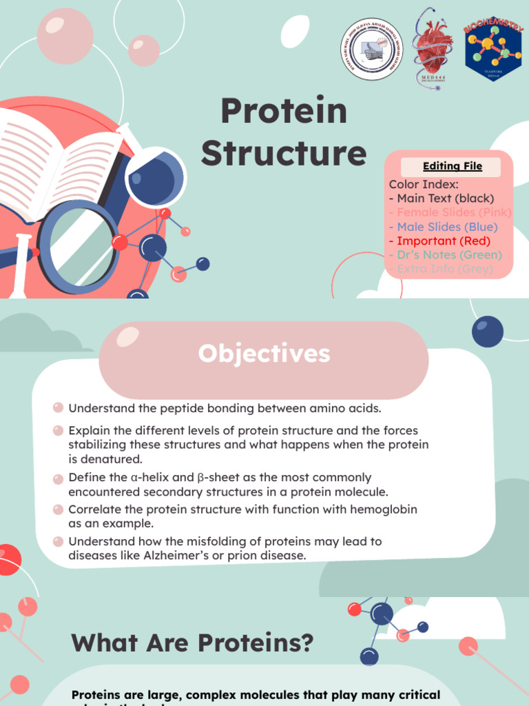 L2) Protein Structure | PDF | Protein Structure | Beta Sheet
