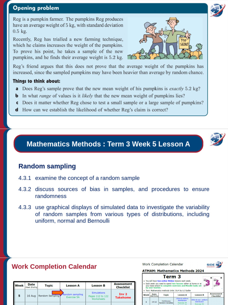2024 ATMAM Term 3 Week 5A Sampling | PDF