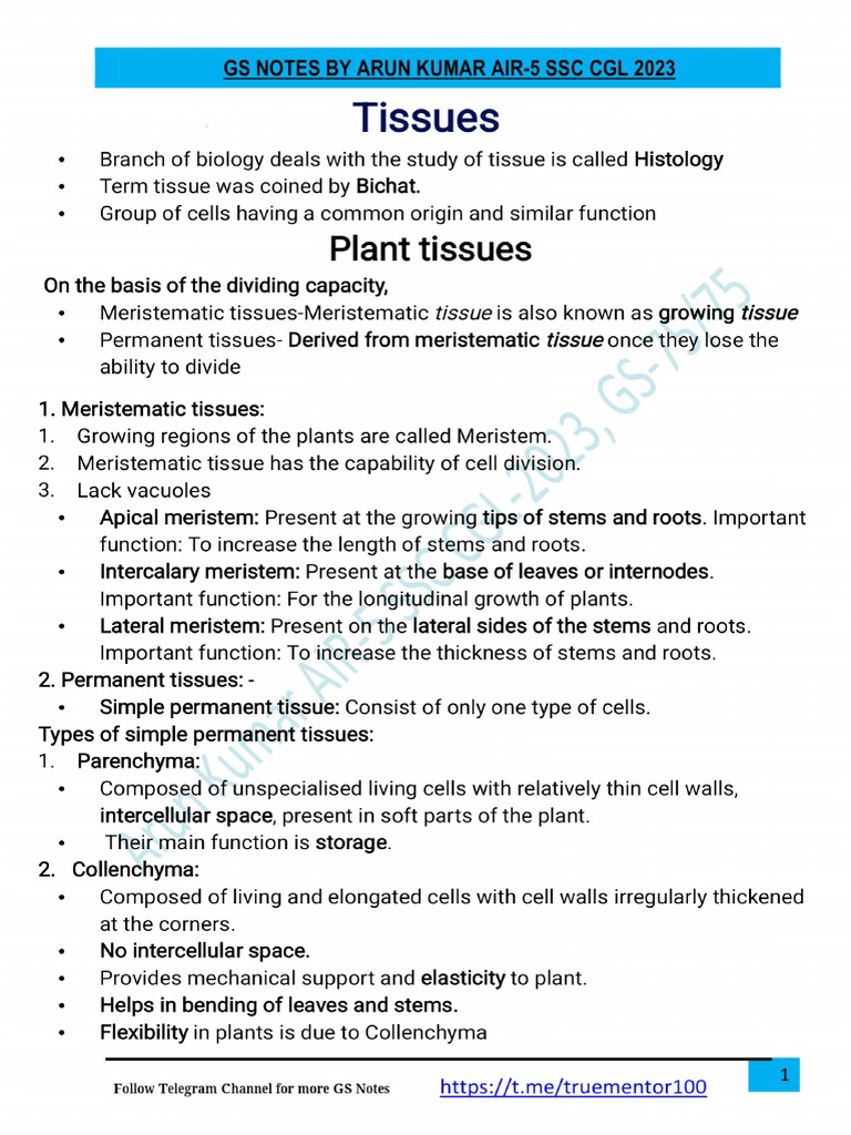 Tissues Chapter Notes Biology by Arun Kumar AIR-5 | PDF