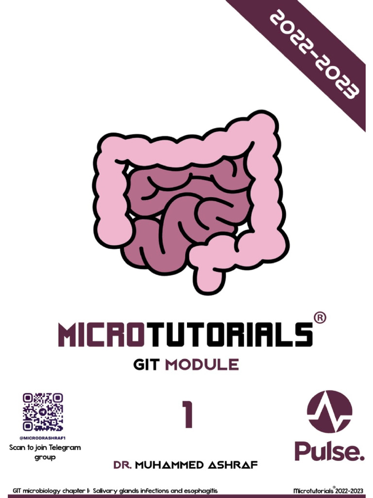 ?m.ashraf GIT CH-1 (2023) | PDF