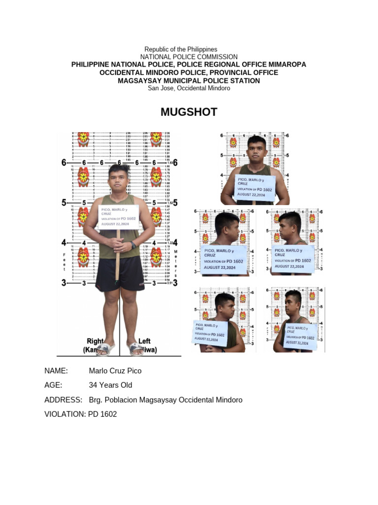 Pico Mugshot | PDF | Social Science | Mystery, Thriller & Crime Fiction