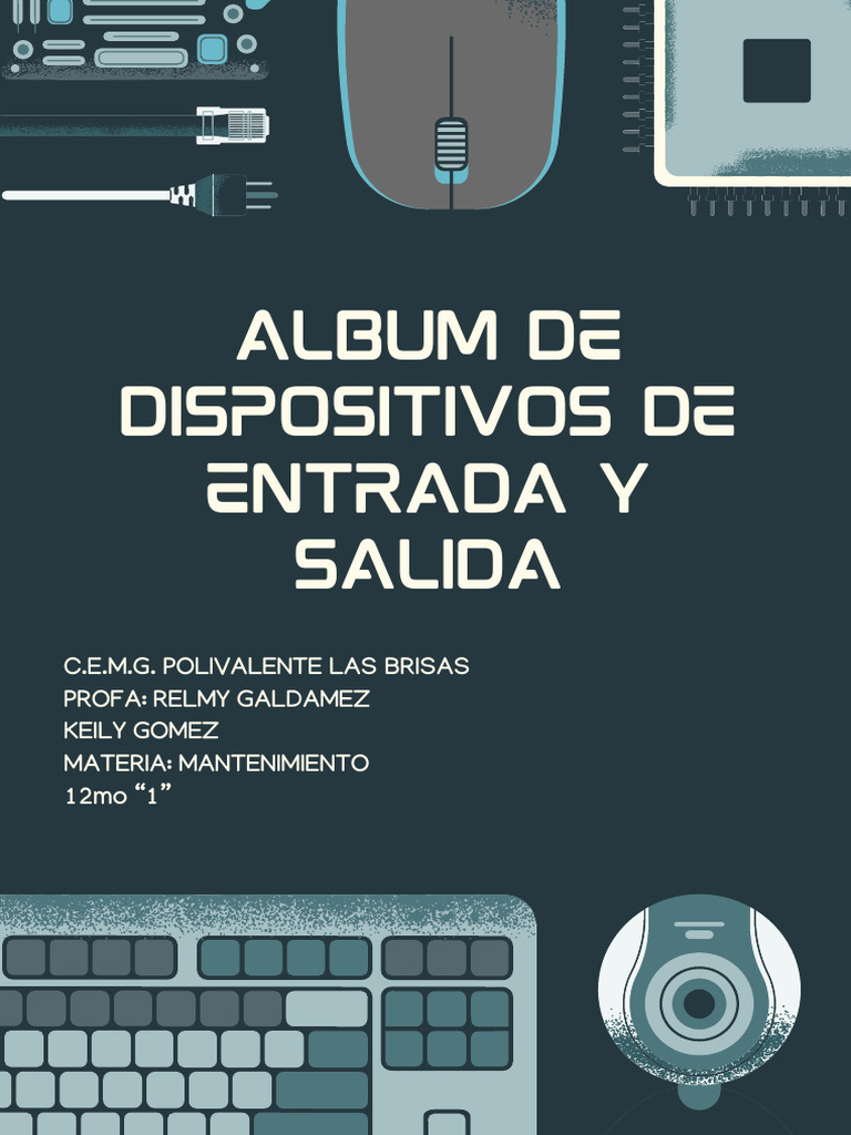 Album de Dispositivos de Entrada y Salida | PDF