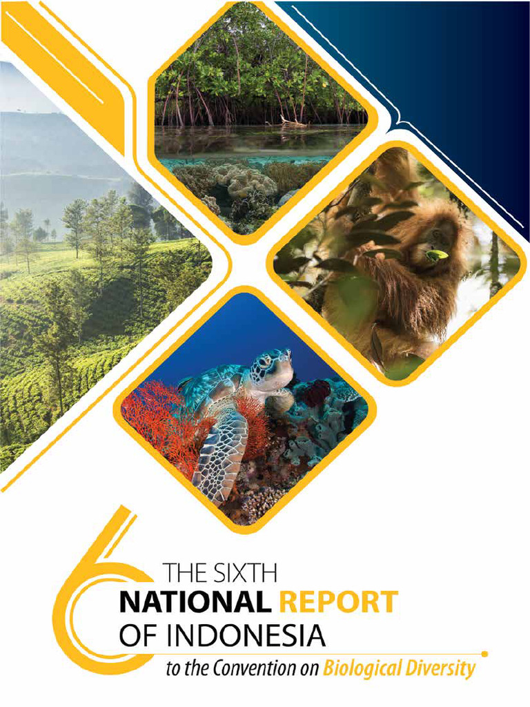 Sixth National Report Biodervisity | PDF