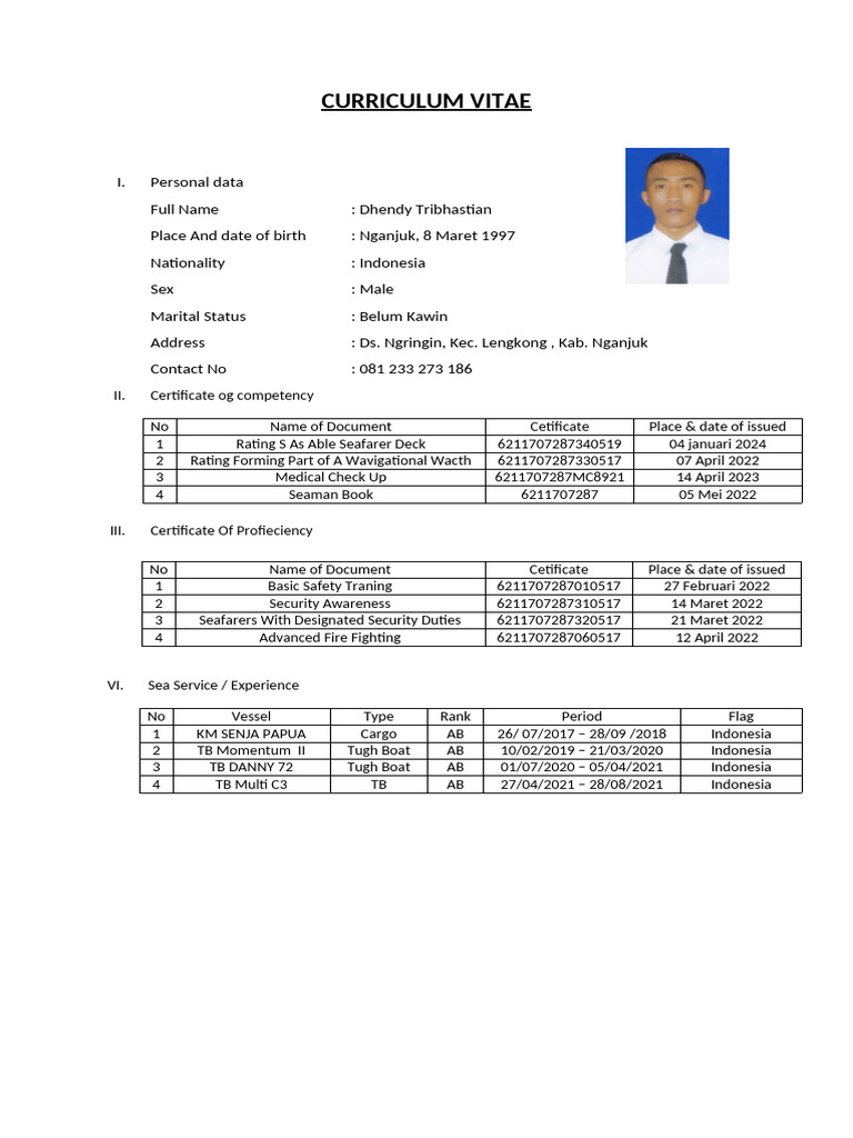 Curriculum Vitae | PDF