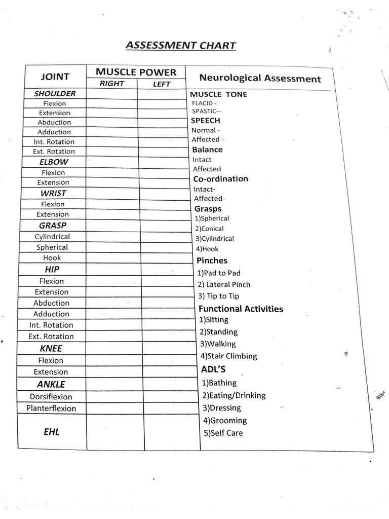 Assessment Sheet Physical | PDF