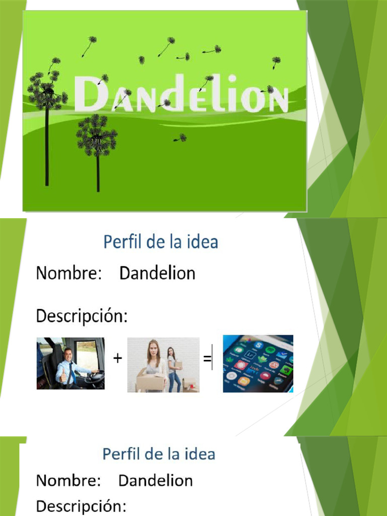 Presentación Dandelion | PDF