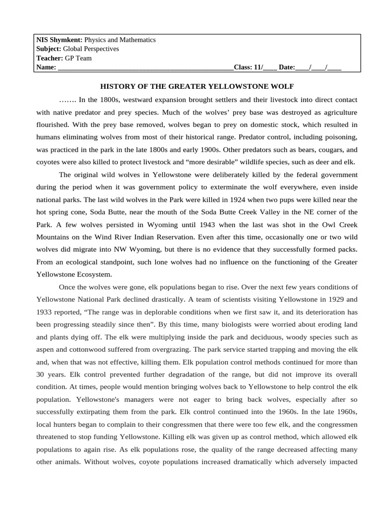 Yellowstone Wolves | PDF