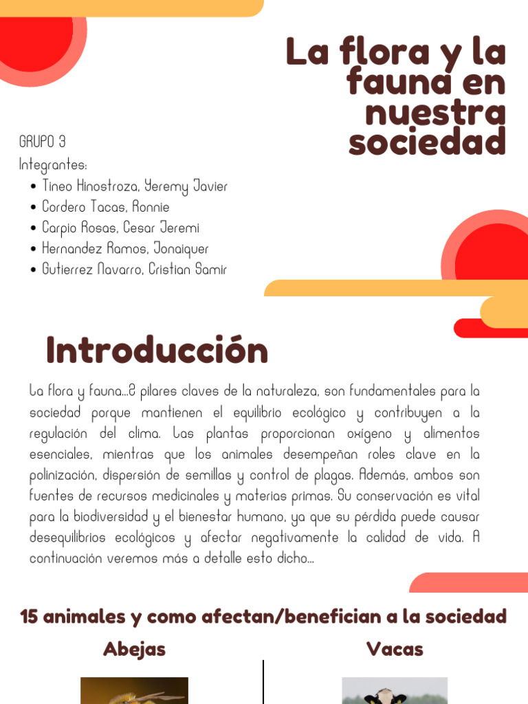 sb2 Sociologia | PDF