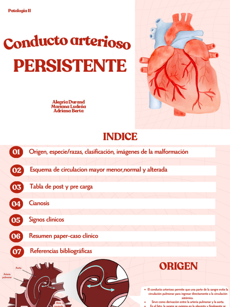 Conducto Arterioso Persistente. | PDF | Sistema circulatorio | Corazón