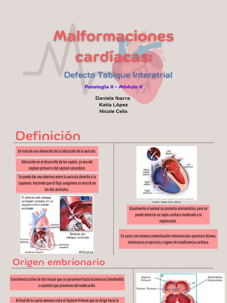 Defecto Tabique Interatrial - Pato II | PDF | Sistema circulatorio ...