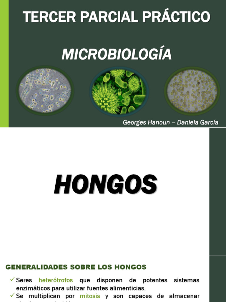 3º Parcial Práctico de Micro | PDF