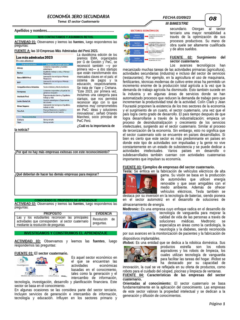 CLASE_08_Sector cuaternario | PDF