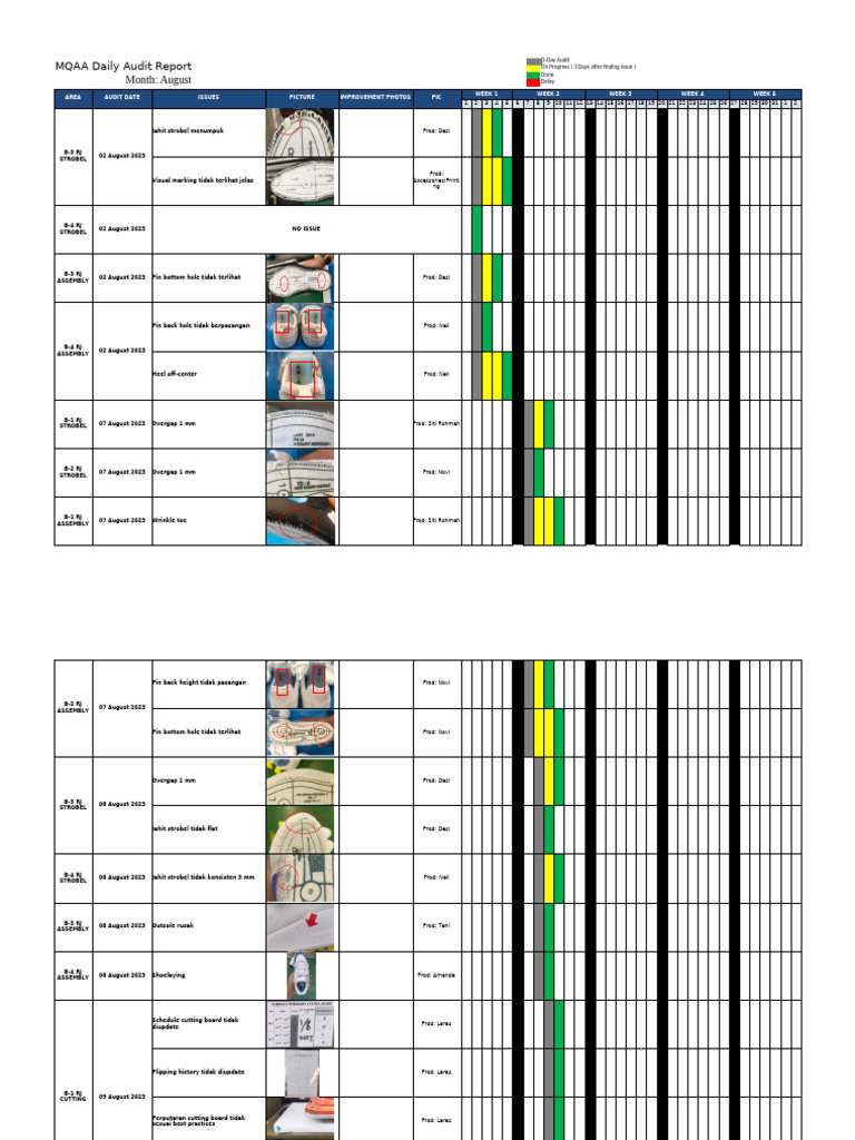 Summary Daily MQA Audit Report August | PDF